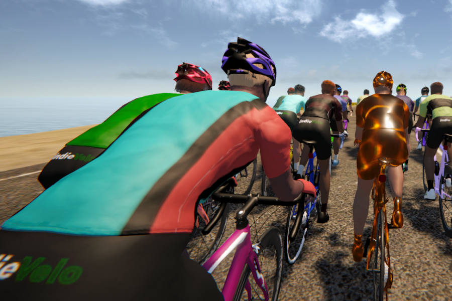 How-to-Guide—indieVelo Pacebots The Zommunique'