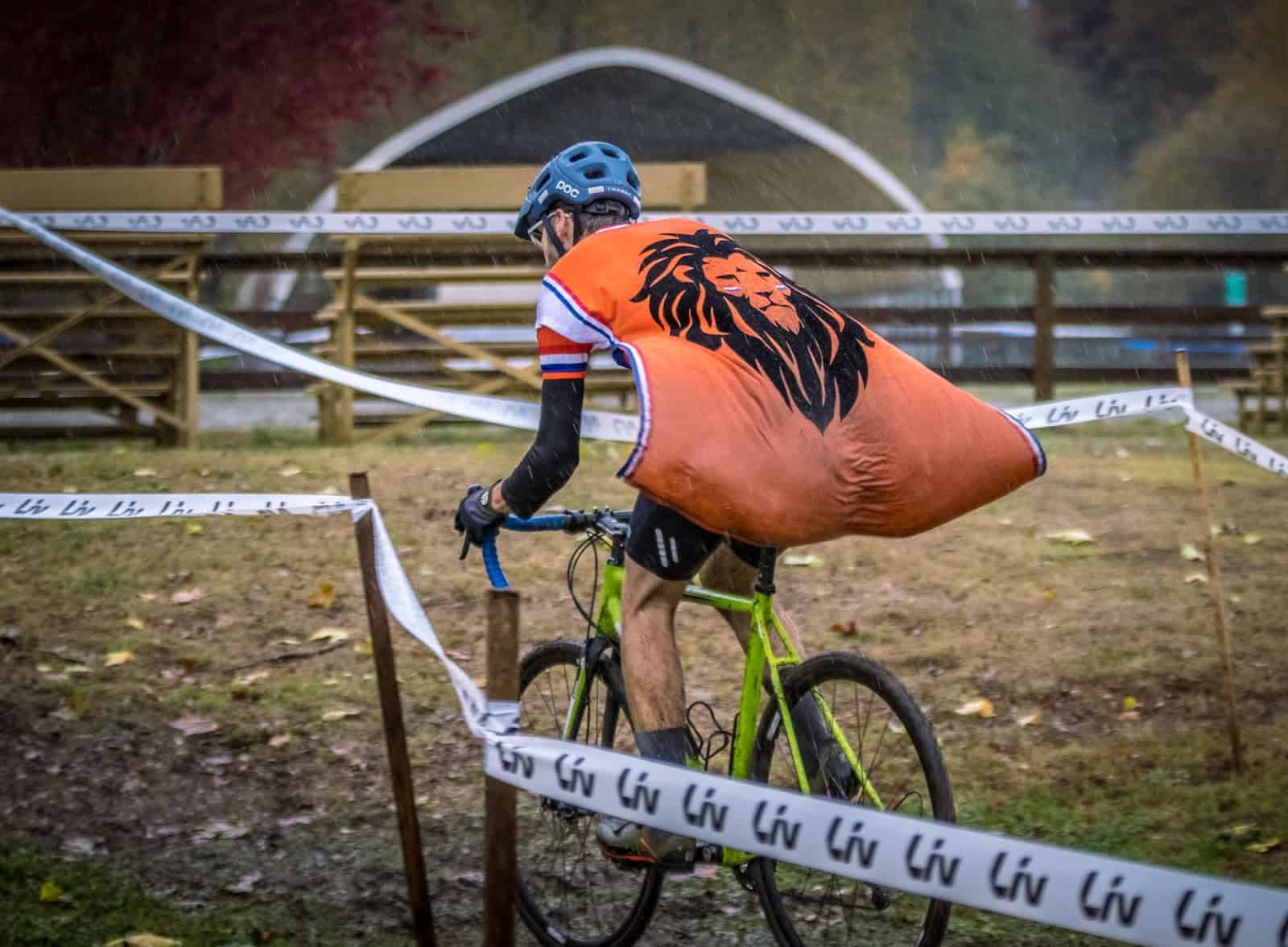 Testosterone, Iron, and Thyroid Hormone Depletion in Cyclists - The ...